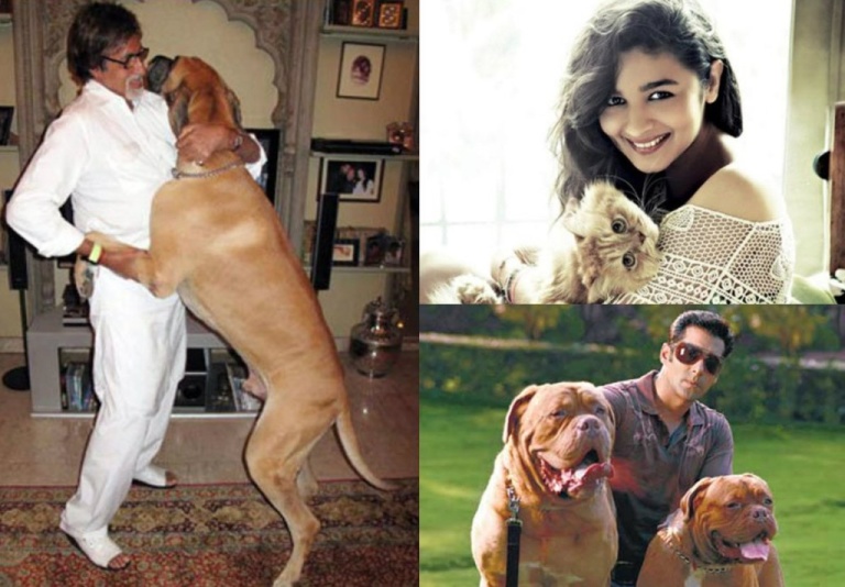 10 Bollywood stars and their adorable pets | Celeb Glory
